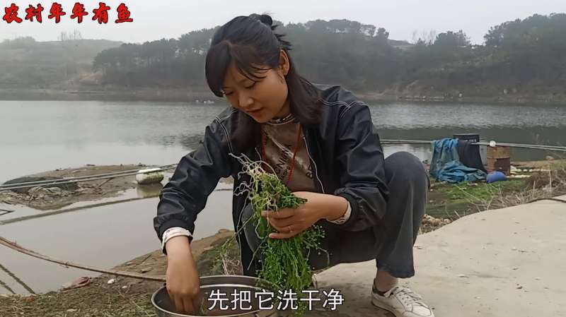 农历“三月三”,荠菜煮鸡蛋有没有听说过呢?这种习俗你们那有吗
