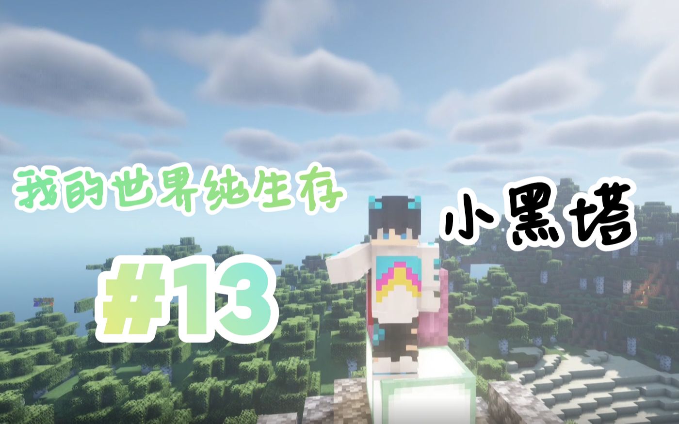 我的世界纯生存 -小黑塔#13