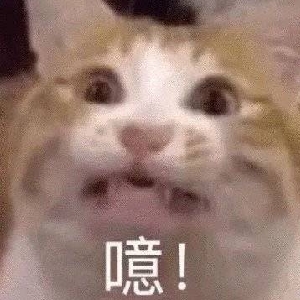 不学无术的Maine 