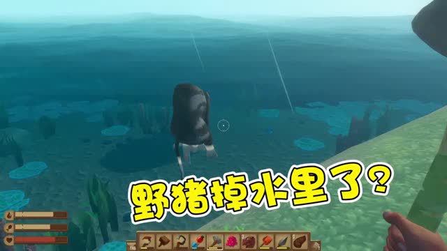 木筏求生 木筏求生16:岸边白捡一只猪,结果还没回家就整丢了!