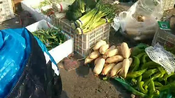 临近年关菜价飙升,小区里卖18块一斤的草莓,看看集市上卖多少钱