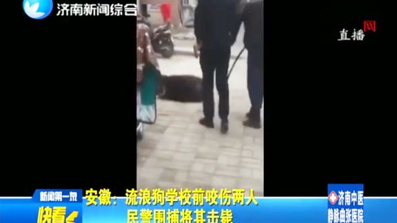 惊慌!流浪狗在小学门口,不一会就咬伤两人,市民们都吓坏了