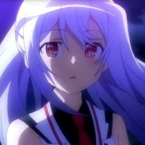 白鸽90964 