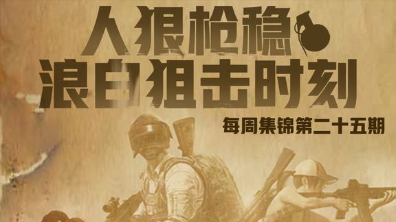人狠枪稳浪白狙击时刻二十五:我就站在你面前,你看我几分像从前