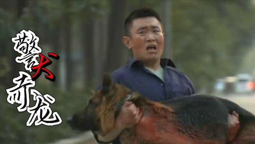 警犬赤龙:狗肉馆正在杀狗,战士一看瞬间大怒,竟是部队的警犬