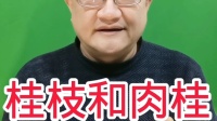老中医讲中药,桂枝和肉桂
