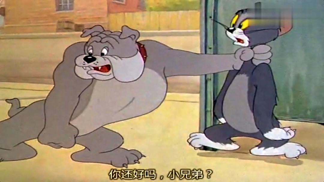 猫和老鼠:杰瑞和狗狗成为朋友,合伙欺负汤姆,汤姆看到狗狗就怂
