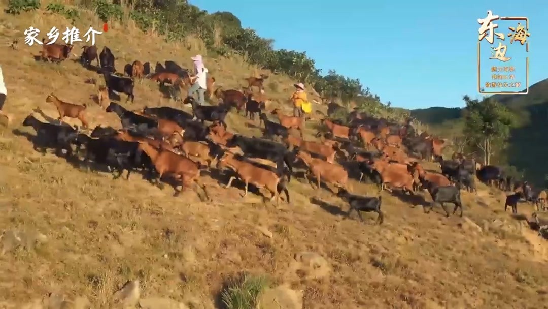 福鼎:游玩东西南北 醉美太姥山水