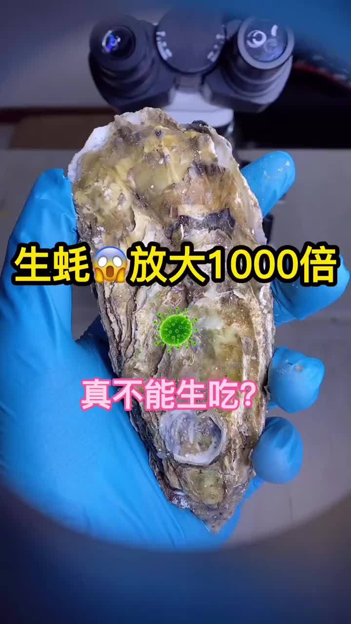 显微镜下的世界是怎样的