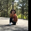 幸福泰柠 