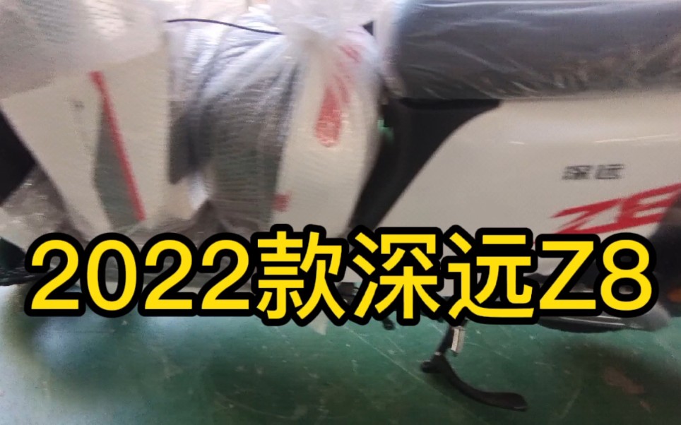 深远最新2022款,深远Z8到货