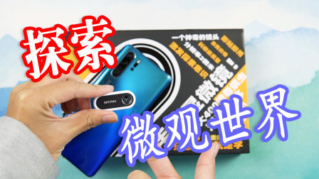 指尖的显微镜,400倍放大手机镜头,感受微观级别的.