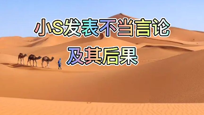 小S发表不当言论及后果