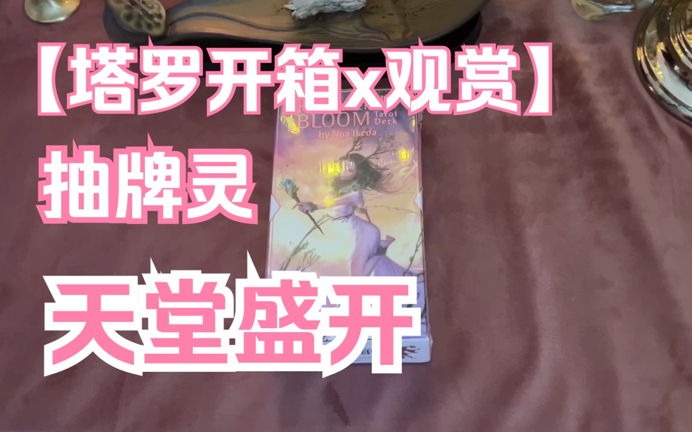 塔罗开箱|【天堂盛开】抽牌灵|牌面展示