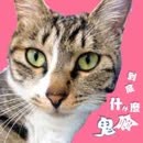 ꧁꫞꯭猫仙儿大叔꫞꧂ 