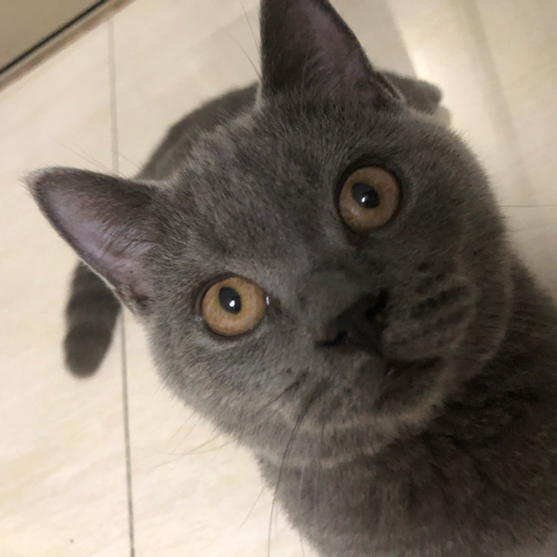 桃谷绘里归 