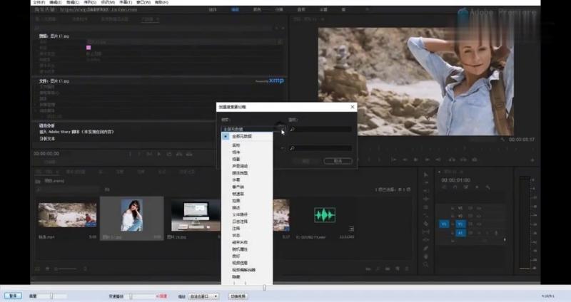 16Premiere教程.编辑技能初级篇课时16:项目文件查找搜索隐藏