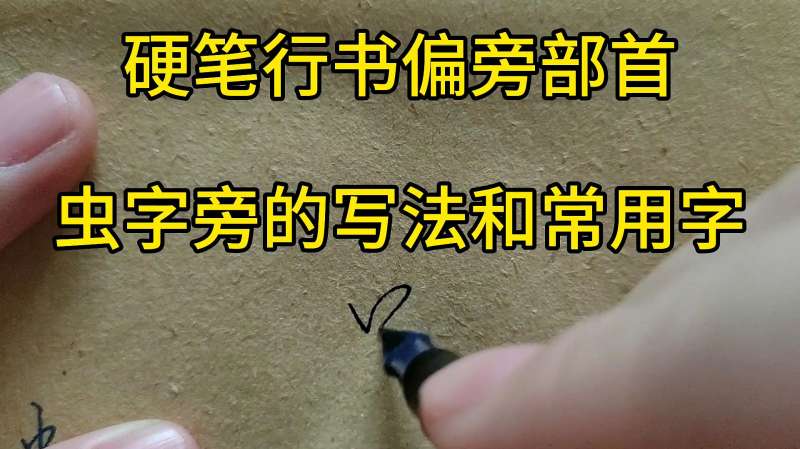 硬笔行书,偏旁部首书写技巧,虫字旁的书写及运用