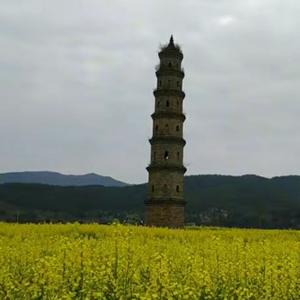 70后宝妈来了 