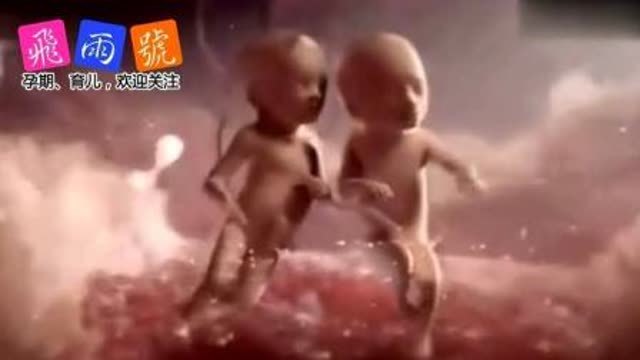 3D动画演示双胞胎在妈妈肚子里成长发育过程,原来婴儿是这样活动的
