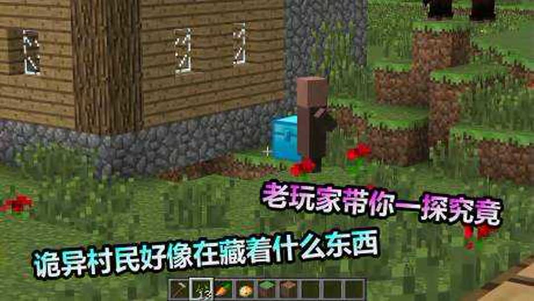 MC我的世界:诡异的村民在藏什么东西?老玩家带你一探究竟