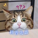 科普先森 
