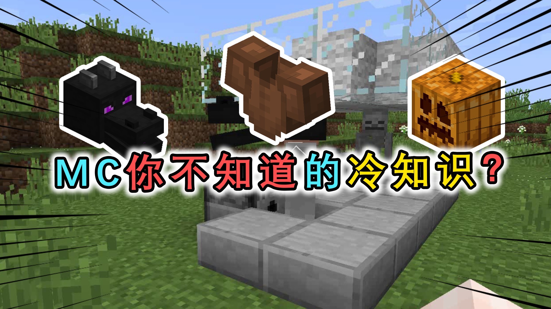 我的世界:盘点MC中的冷知识,弓箭能射到小黑?村民变身末影龙