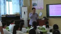 4.小学科学教科版六年级上册《3.杠杆类工具的研究》安徽省市级优课