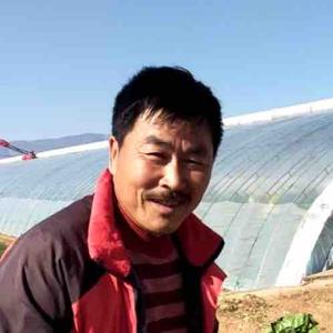 河南胡子哥 