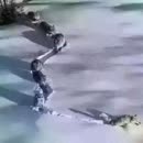 头发姐姐甜甜圈 