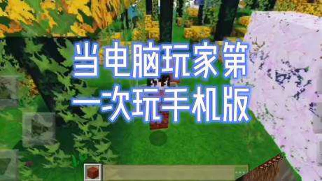我的世界:当电脑玩家,第一次玩手机版