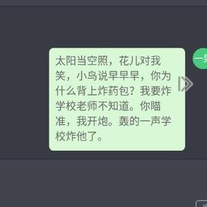 29号电脑人 