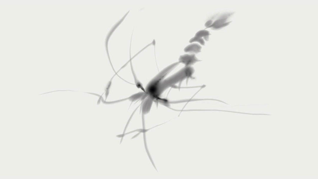 怎样画齐白石先生的虾?电脑板绘水墨画绘画教程