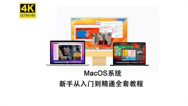 MacOS系统新手从入门到精通全套教程「操作篇」2.14桌面与程序坞