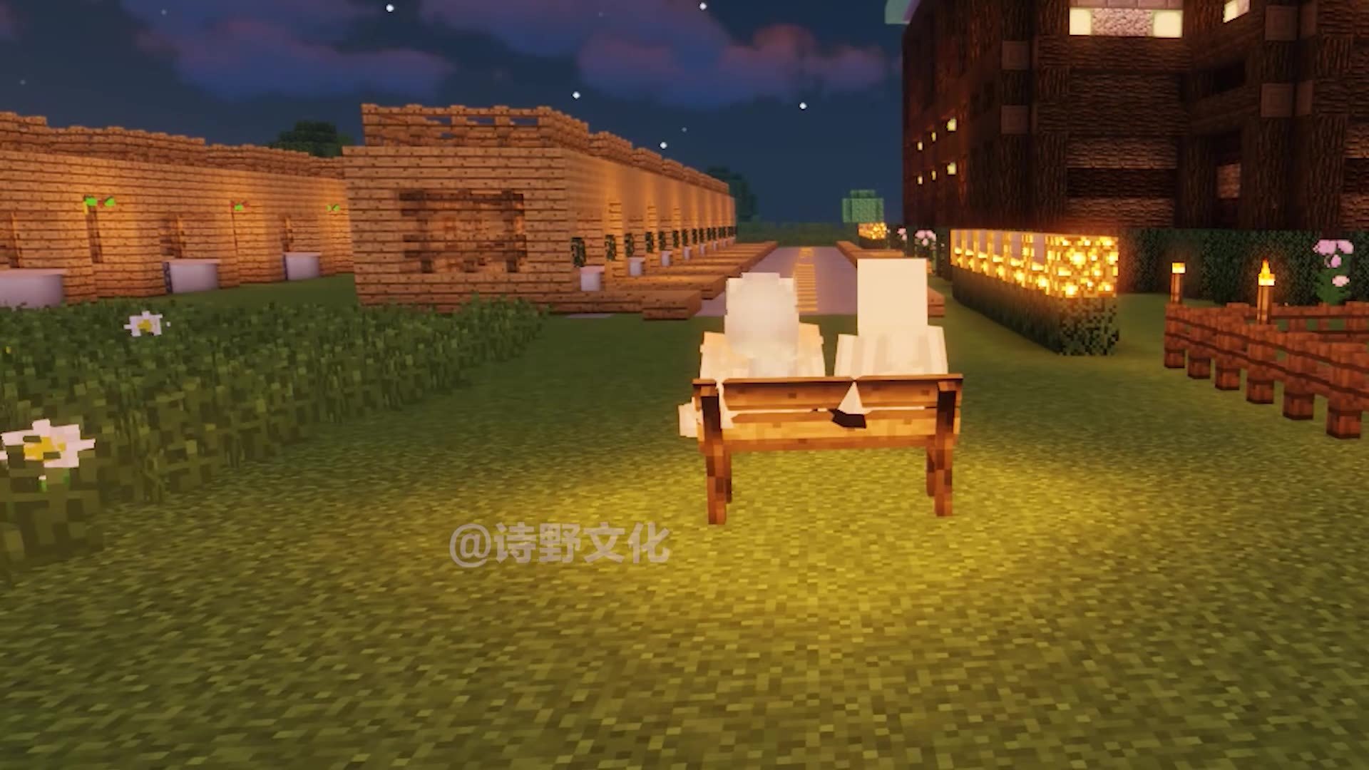 我的世界:带白喵小姐姐出来逛街