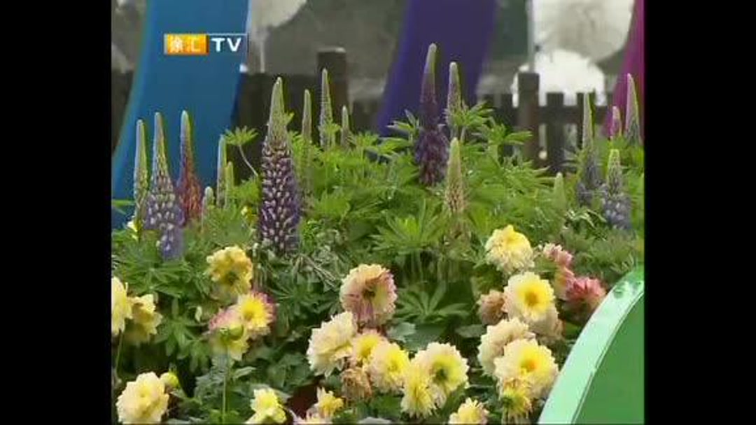 2018上海(国际)花展即将开幕