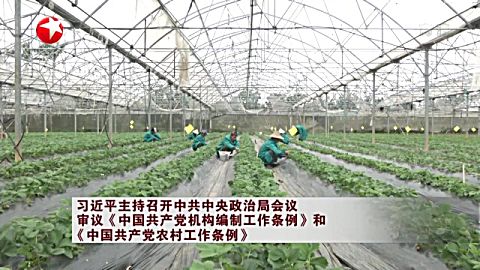 ...审议《中国共产党机构编制工作条例》和《中国共产党农村工作条例》