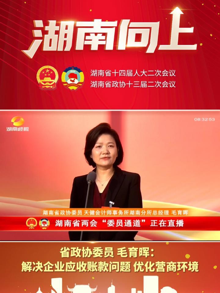 省政协委员 毛育晖:解决企业应收账款问题 优化营商环境 #2024湖南省...