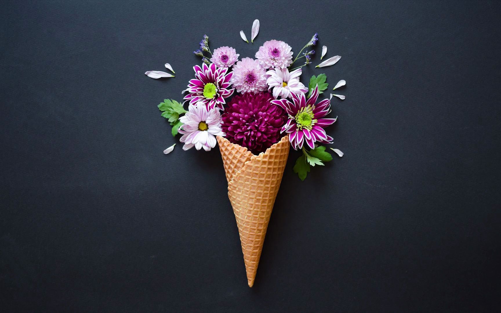 定格动画 鲜花冰淇淋定格动画