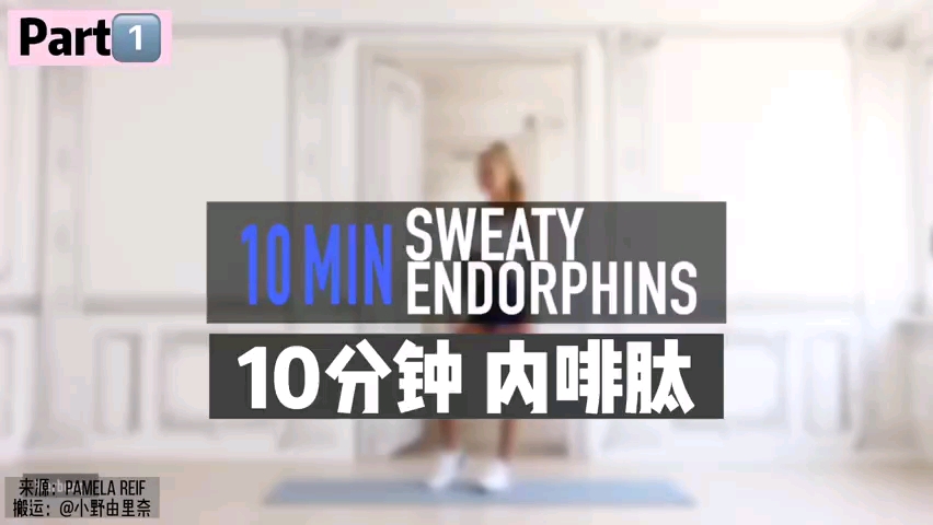 帕梅拉有氧操合集(内啡肽+旁若无人+热辣女王)