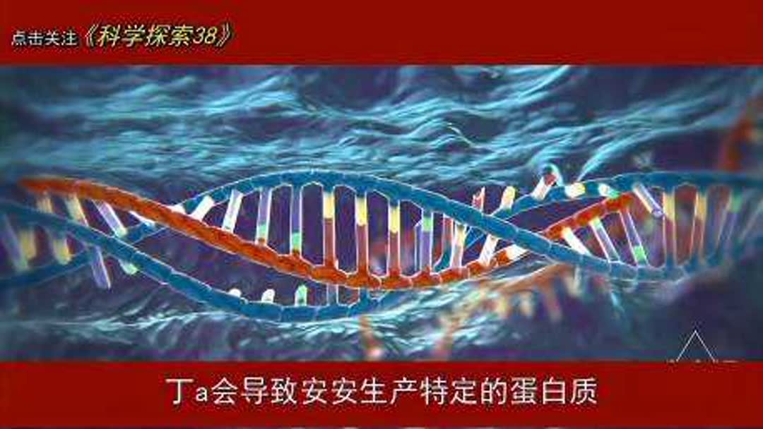 病毒与人类有仇?新型冠状病毒入侵人体,目的是为了杀死人类吗?