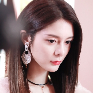 篠田西瓜南瓜饼 