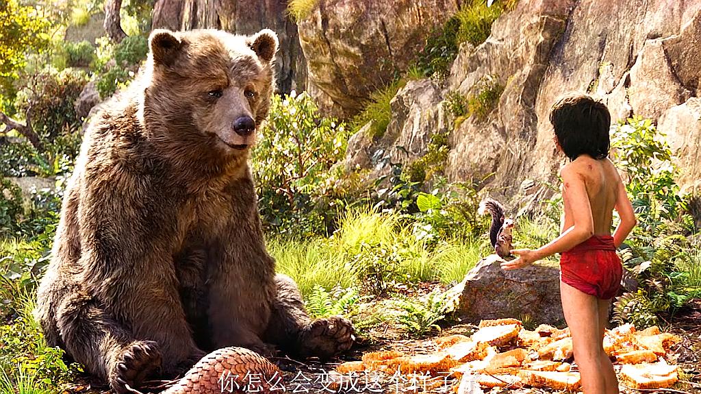 超治愈 想来森林和动物们一起生活吗