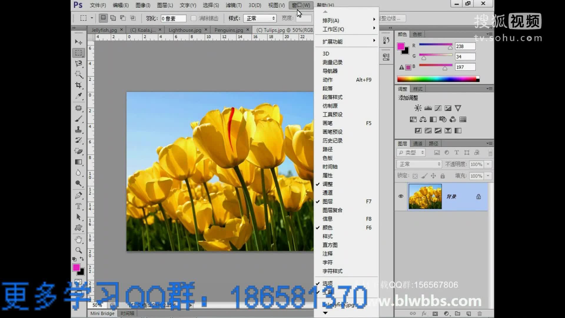 PS入门到精通视频教程PS教程PS抠图PS调色PS合成PS三维PS动画...