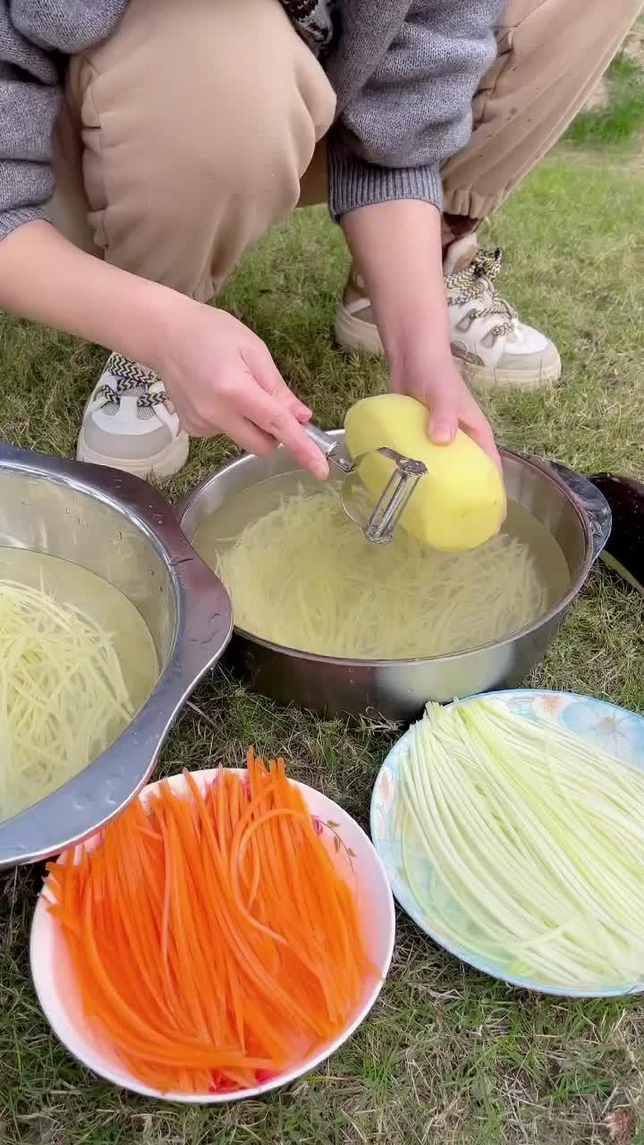 这样的削皮刀能打皮还能刨丝很方便#削皮刀 #打皮刀 #刨丝刀刮皮器多...