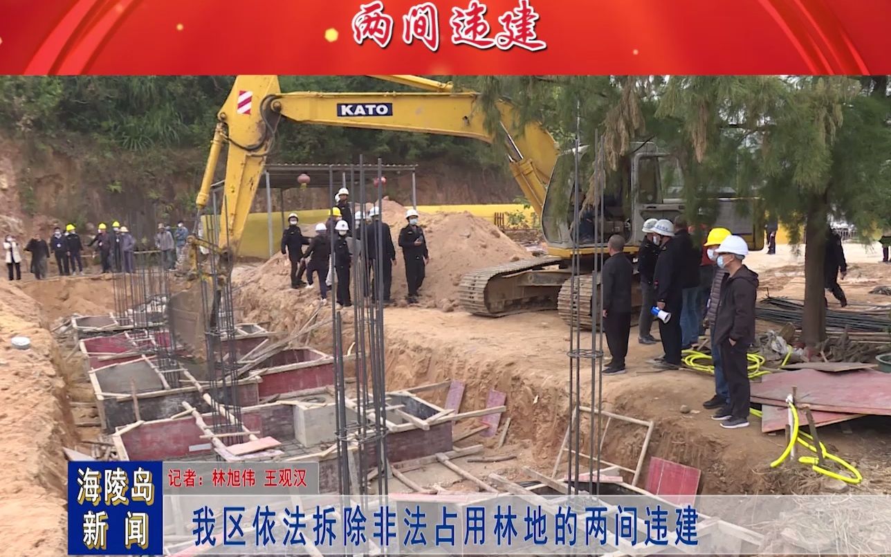 海陵区依法拆除非法占用林地的两间违建