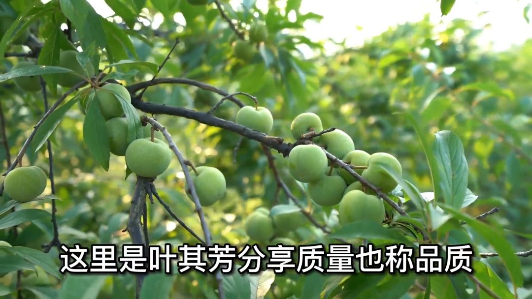产品代工如何确保品质(一)#OEM/ODM贴牌代工叶其芳