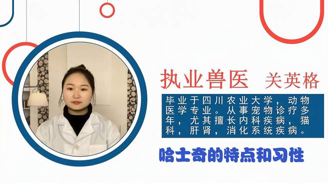 哈士奇的特点和习性