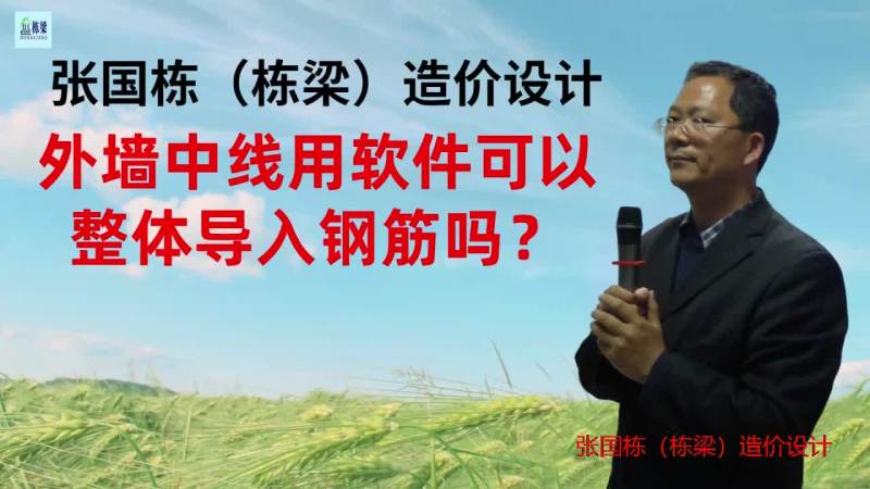 张国栋(栋梁)造价设计:外墙中线用软件可以整体导入钢筋吗?