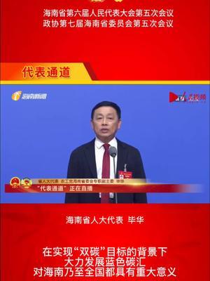 2022海南两会海南省人大代表毕华:大力发展蓝色碳汇...